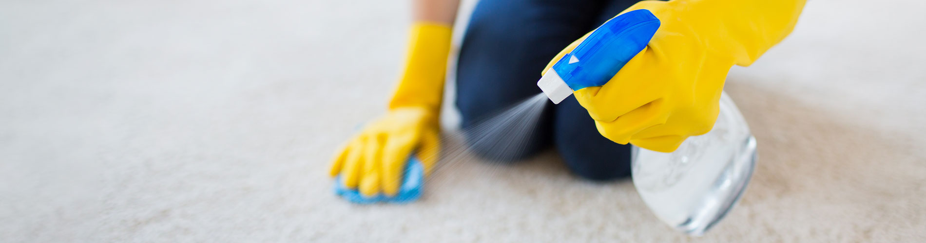 Specialized Cleaning Services Cowan Cowan - Specialized Covid Cleaning ...